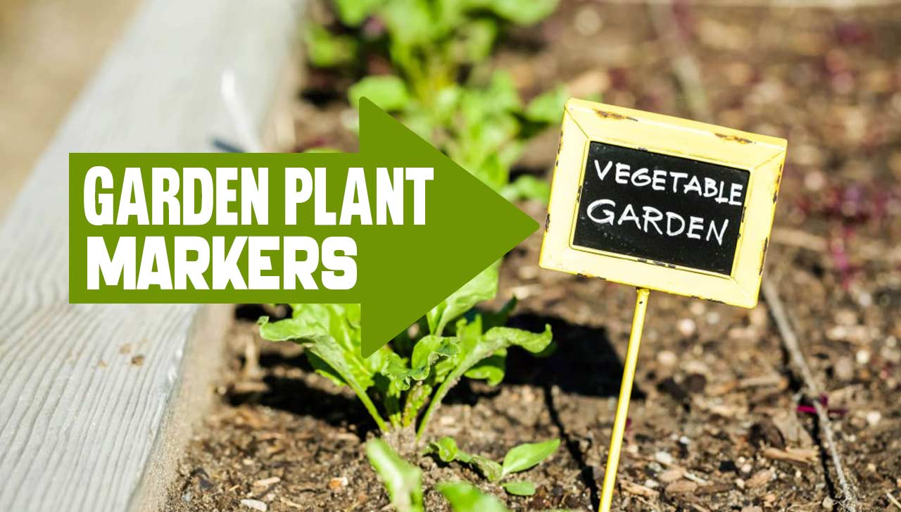 Spruce up your garden with these cute and functional plant markers