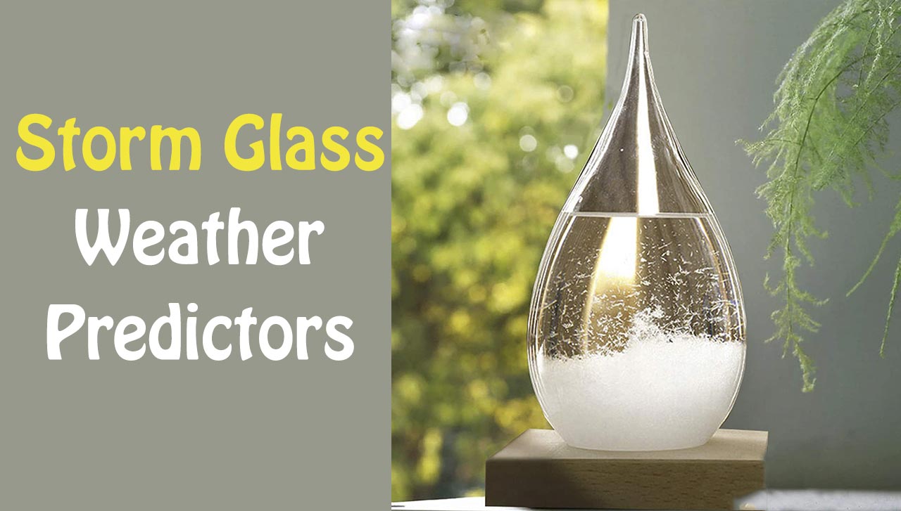 Forecast the Weather in Style with a Storm Glass Weather Predictor